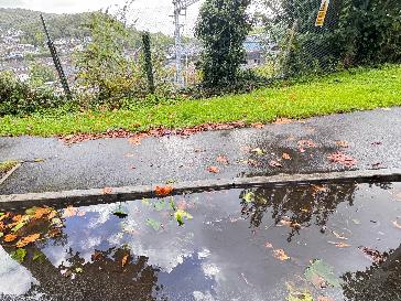 Cardiff - BBC Weather