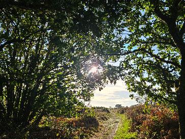 Jersey Airport - BBC Weather