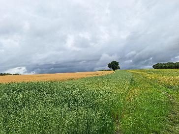 Chester - BBC Weather