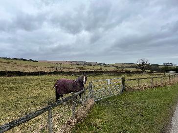 Tyldesley - BBC Weather