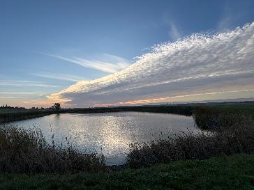 Peterborough - BBC Weather