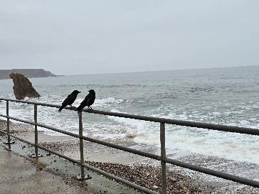 Oldmeldrum - BBC Weather