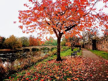 Hinckley - BBC Weather